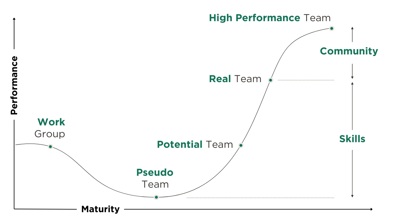 The Team Performance Curve: A Roadmap for Team Leaders